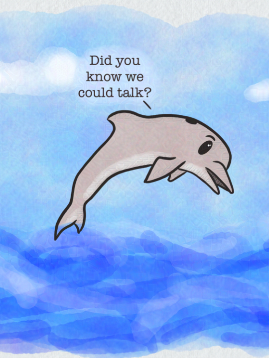 Dolphins May Have a Language – Hireillo | Hire an Illustrator