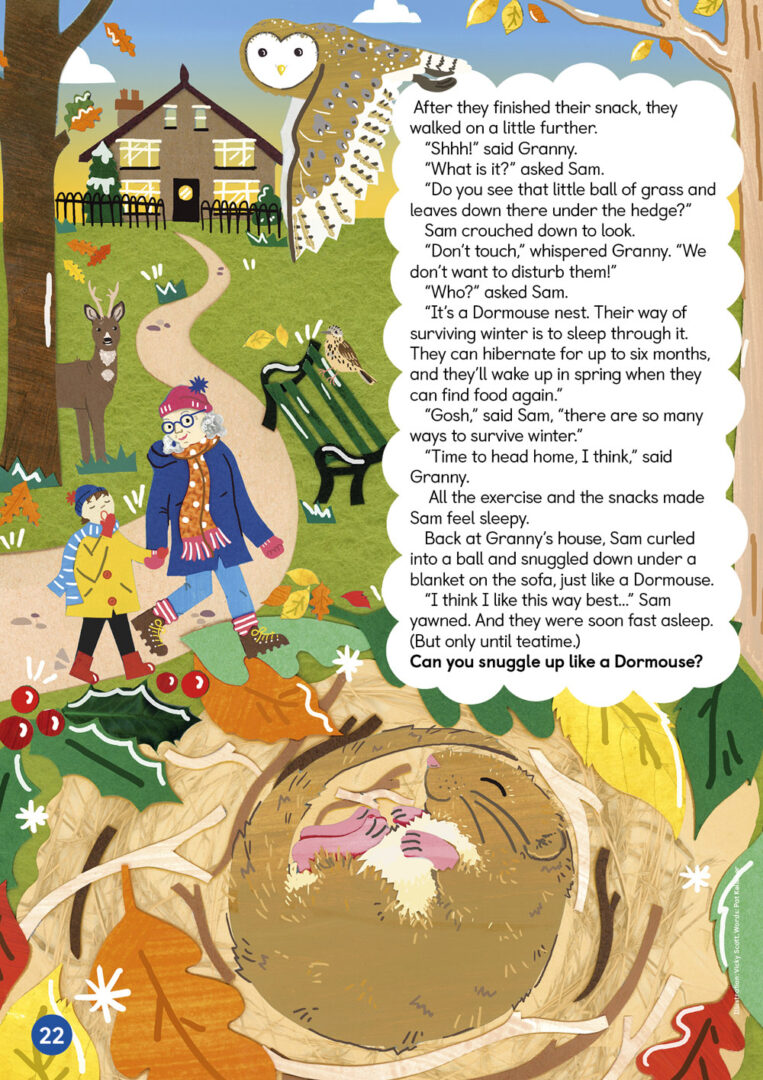 Winter Story illustrations for RSPB – Hireillo | Hire an Illustrator