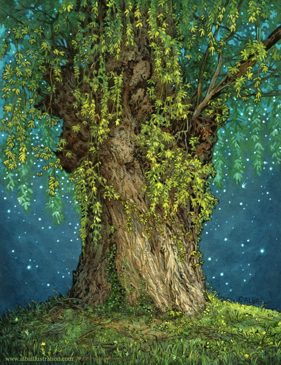 Once Upon a Tree – Hireillo | Hire an Illustrator